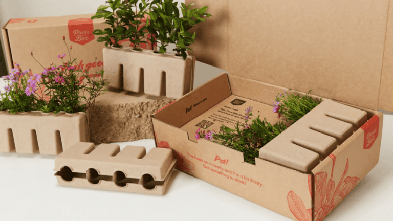 How to Ship Plants: A Guide to Sending Live Plants Safely | Tourism SM